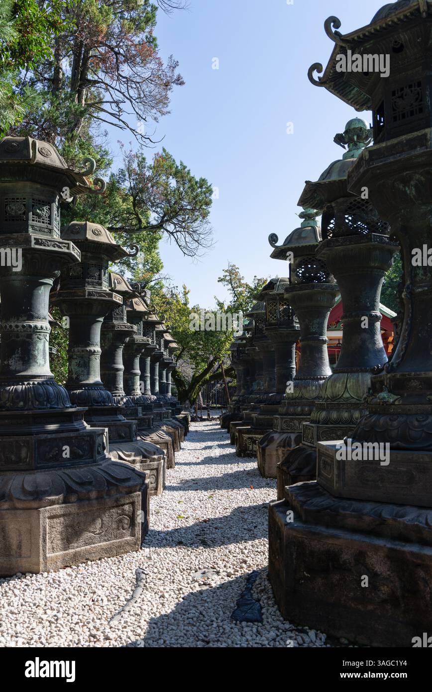 Stone pathway lined with symmetrical bronze lanterns at Ueno Toshogu ...