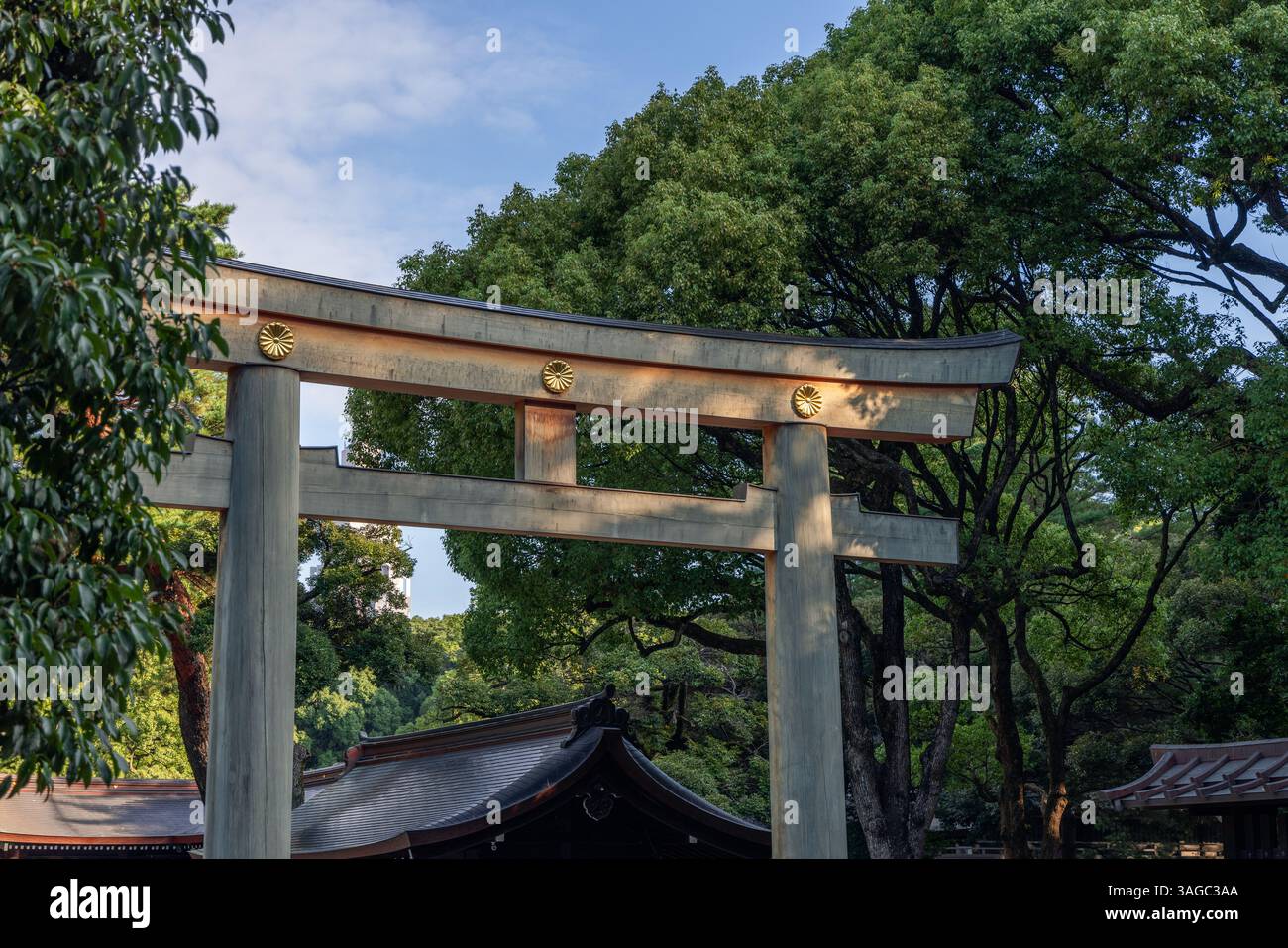 Traditional wooden torii gate at Meiji Shrine in Tokyo featuring three ...