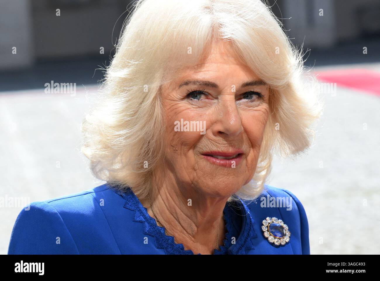 Rome, Italy. 08th Apr, 2025. Queen Camilla of England arrives at the ...