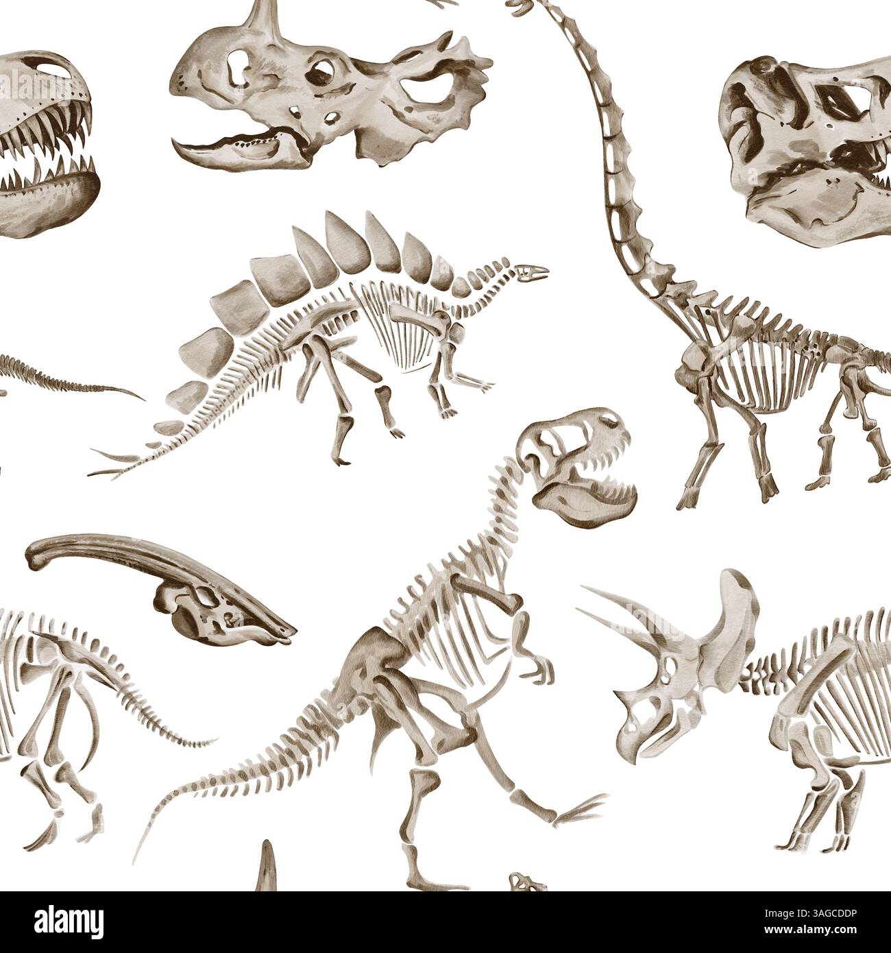 Seamless pattern dinosaur skeletons. Traceratops, Theranosaurus and ...