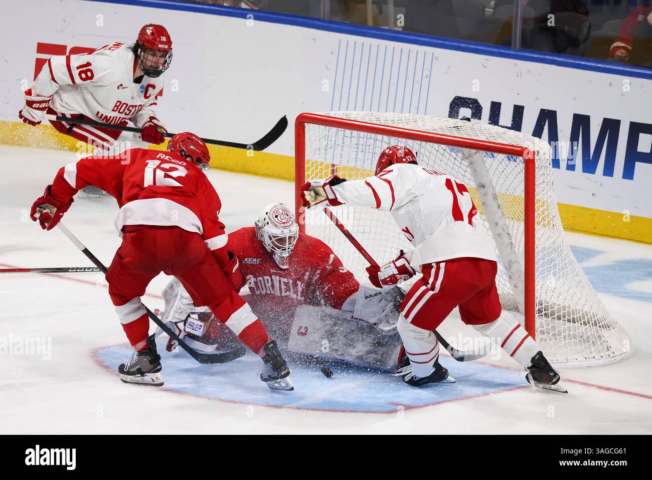 TOLEDO, OH - MARCH 29: Cornell Big Red goalie Ian Shane (30) blocks the ...