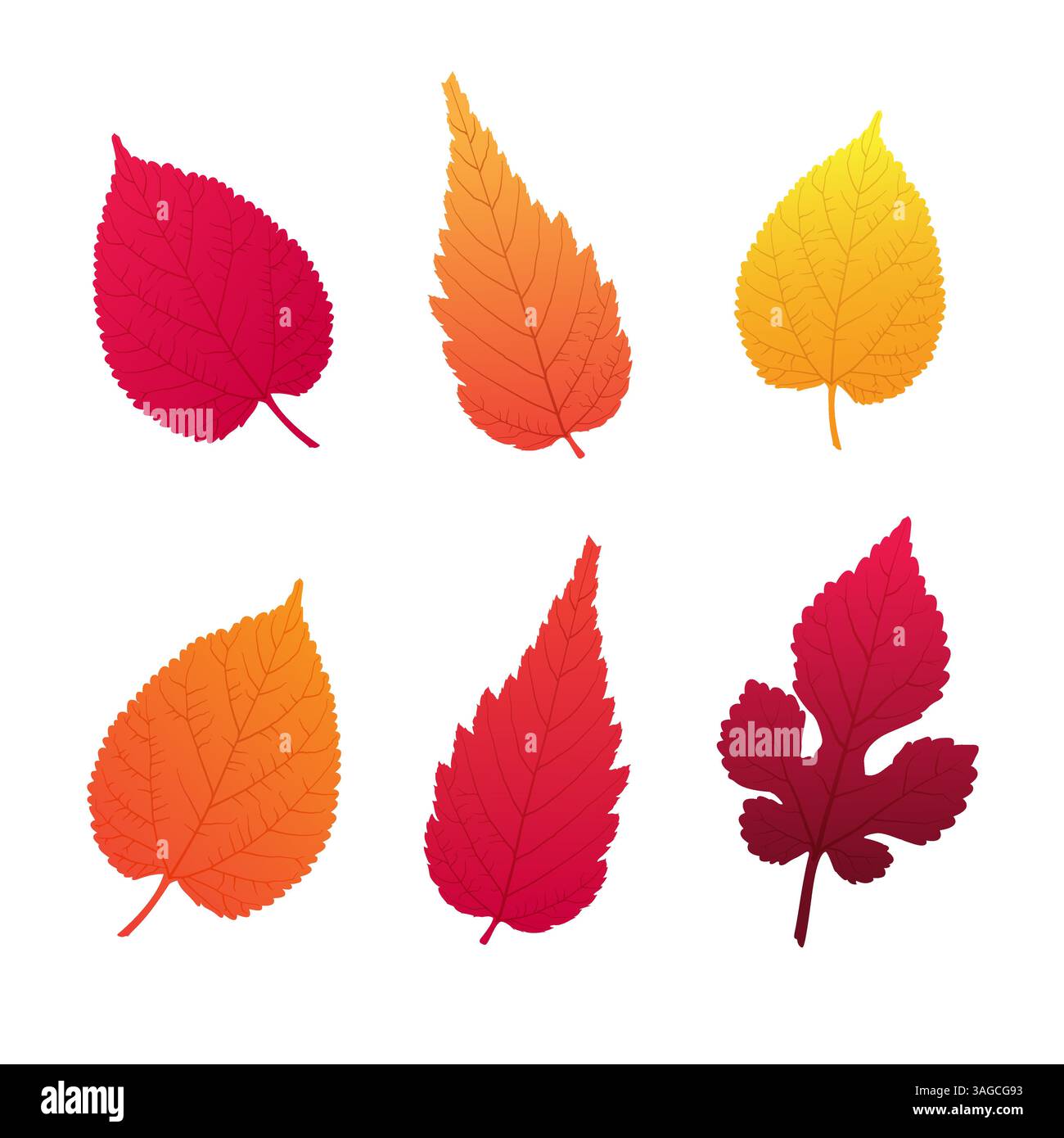 Leaf designs in Stock Vector Images - Alamy