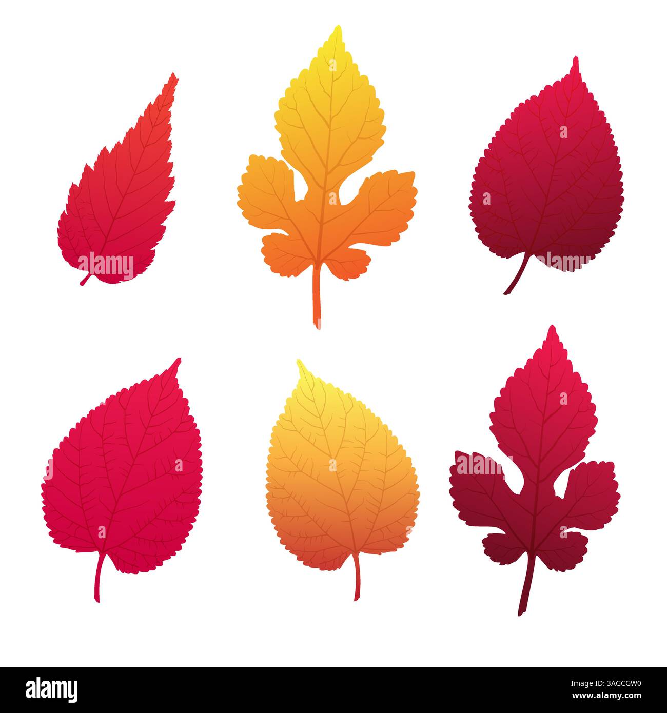 Autumn leaf colors in Stock Vector Images - Alamy