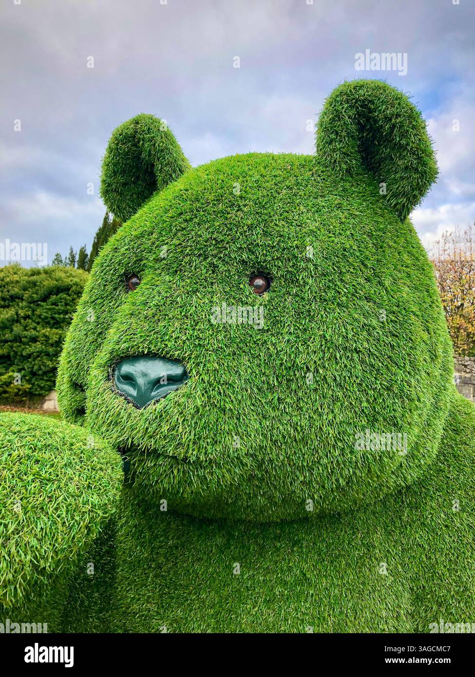 Topiary Bear in a garden Stock Photo - Alamy