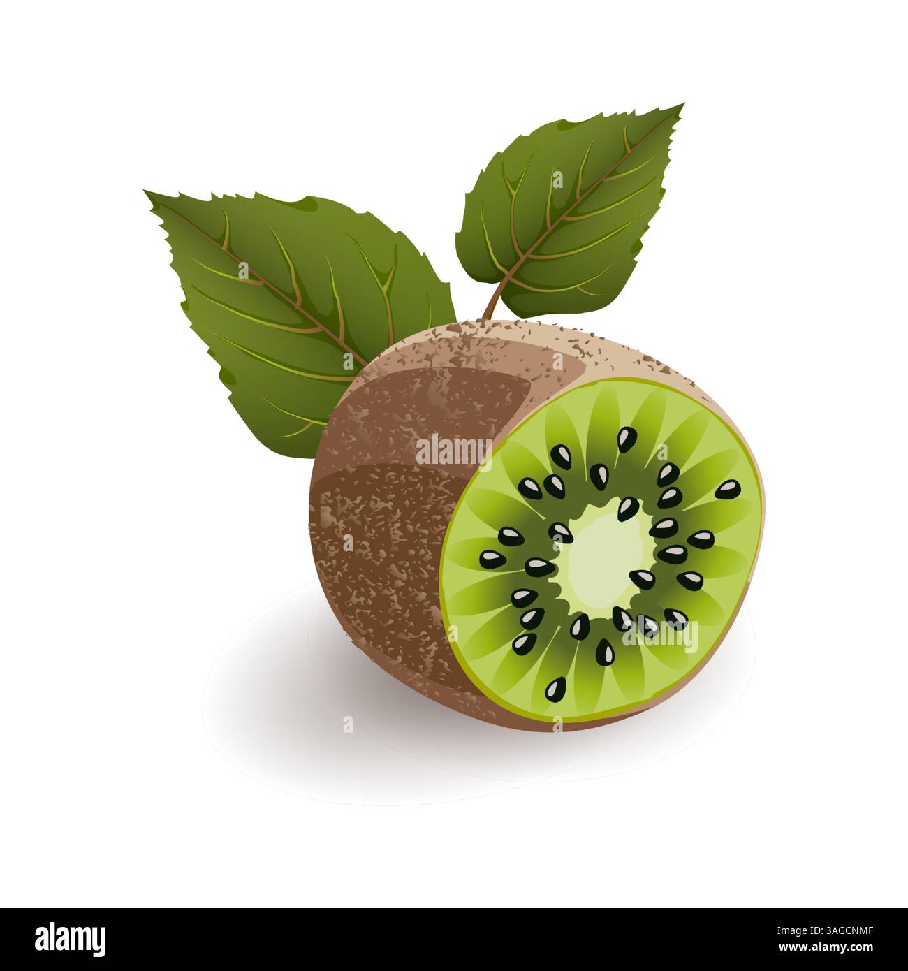 Sliced kiwi with kiwi leaves isolated on white background, realistic ...