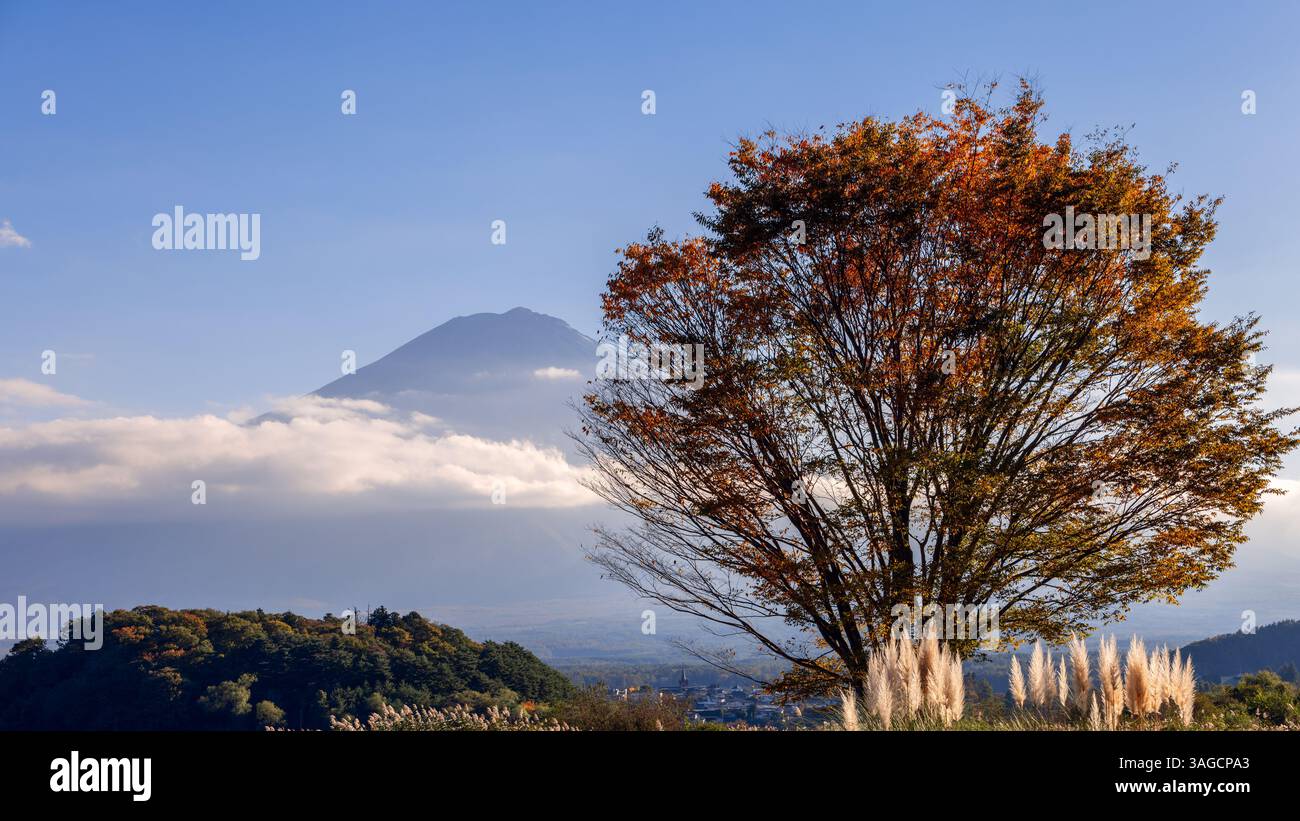 Mount Fuji rises in the background with misty clouds while an autumn ...