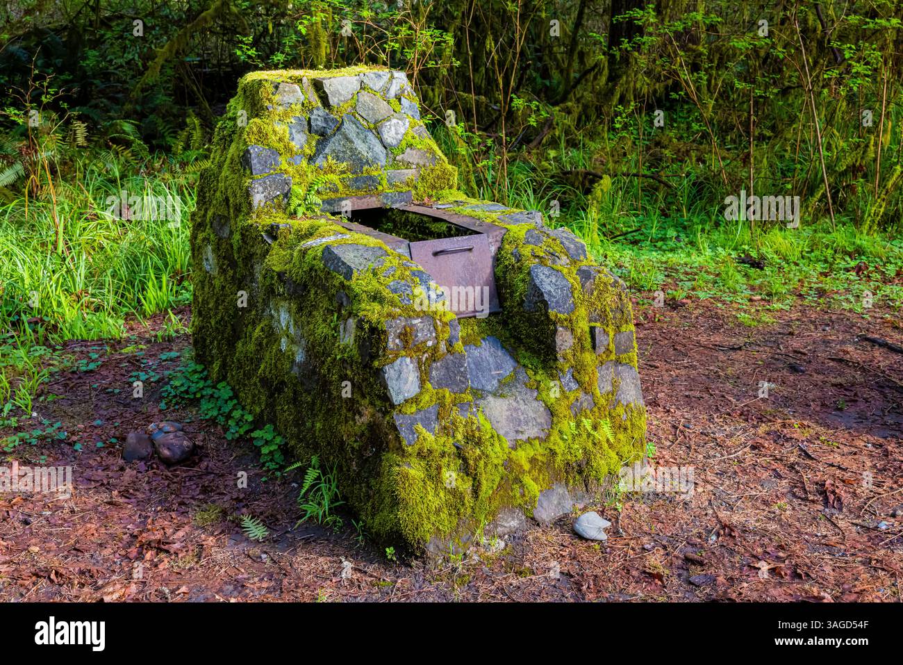 Campground stove built by CCC in the 1930s in Prairie Creek Redwoods ...