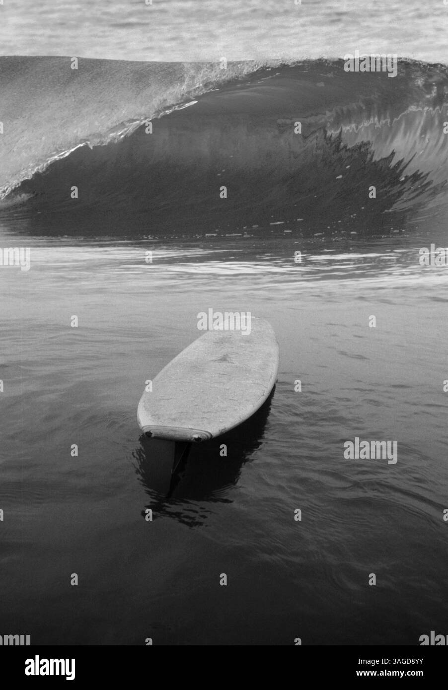 2004 01 Black and White Stock Photos & Images - Alamy