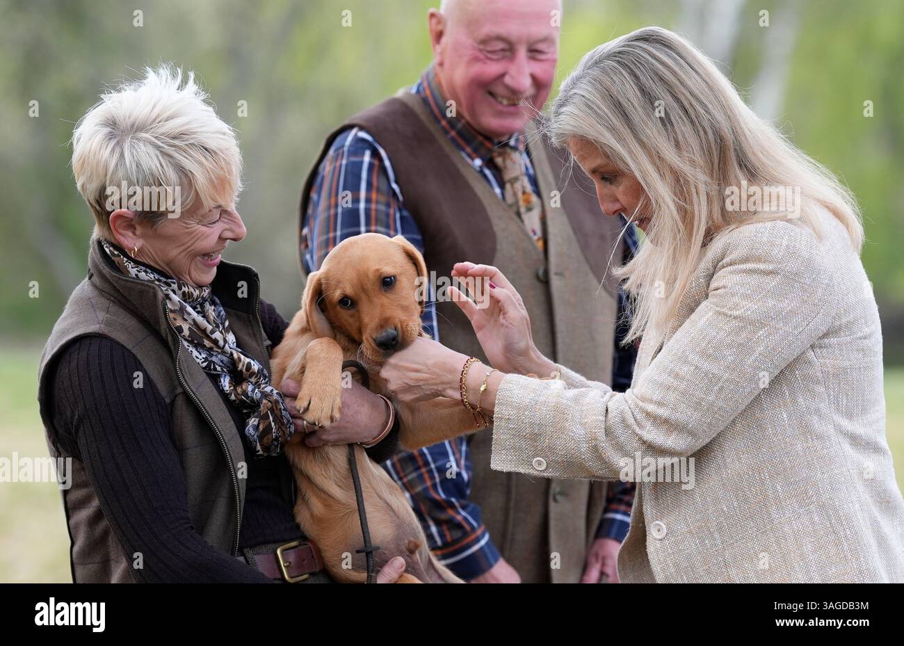 The Duchess of Edinburgh meets 12 week old Yellow Labrador puppy Axel ...