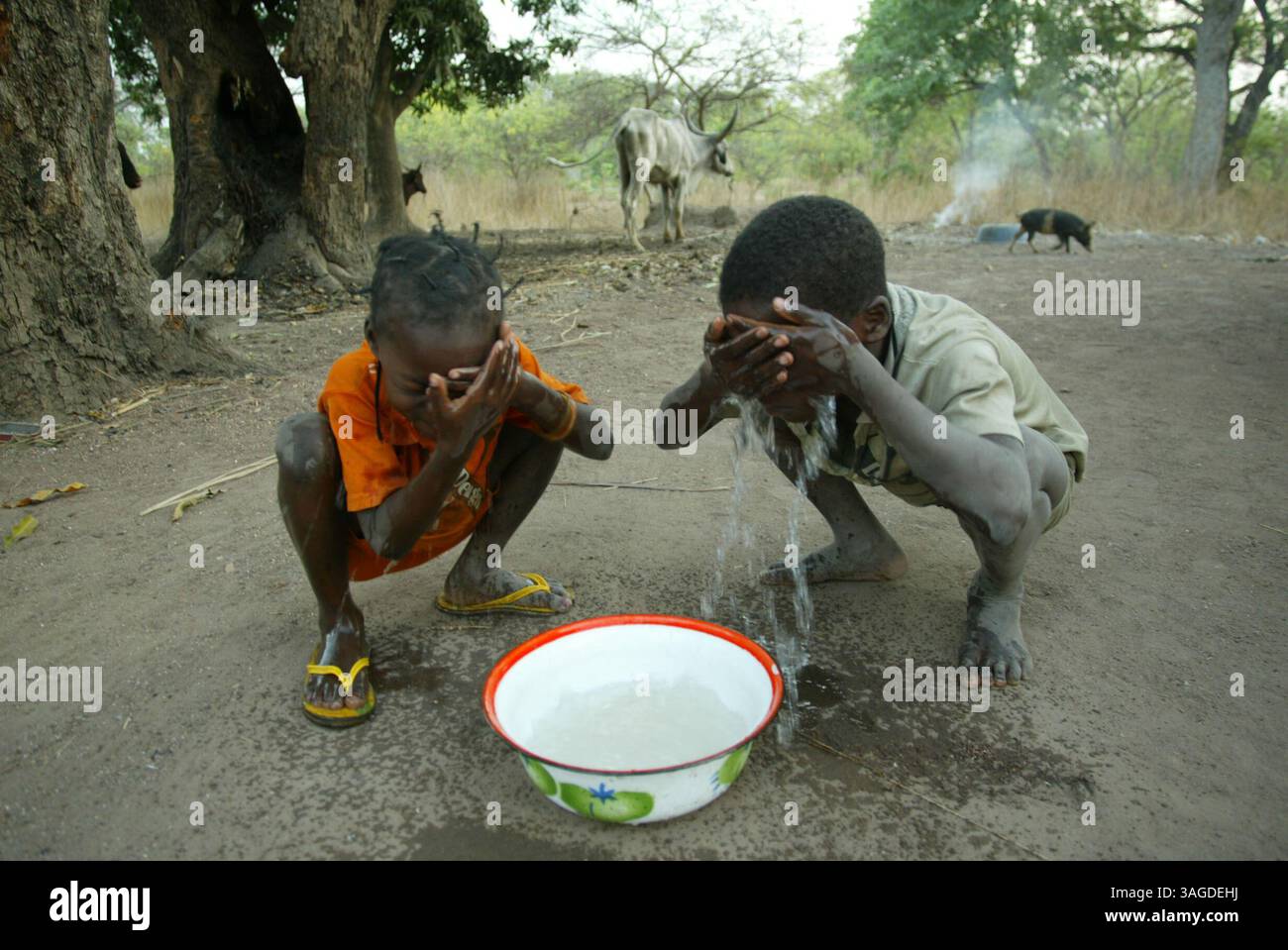 Dec 27, 2007 - Moundou, Chad - A basin full of water provides a source ...