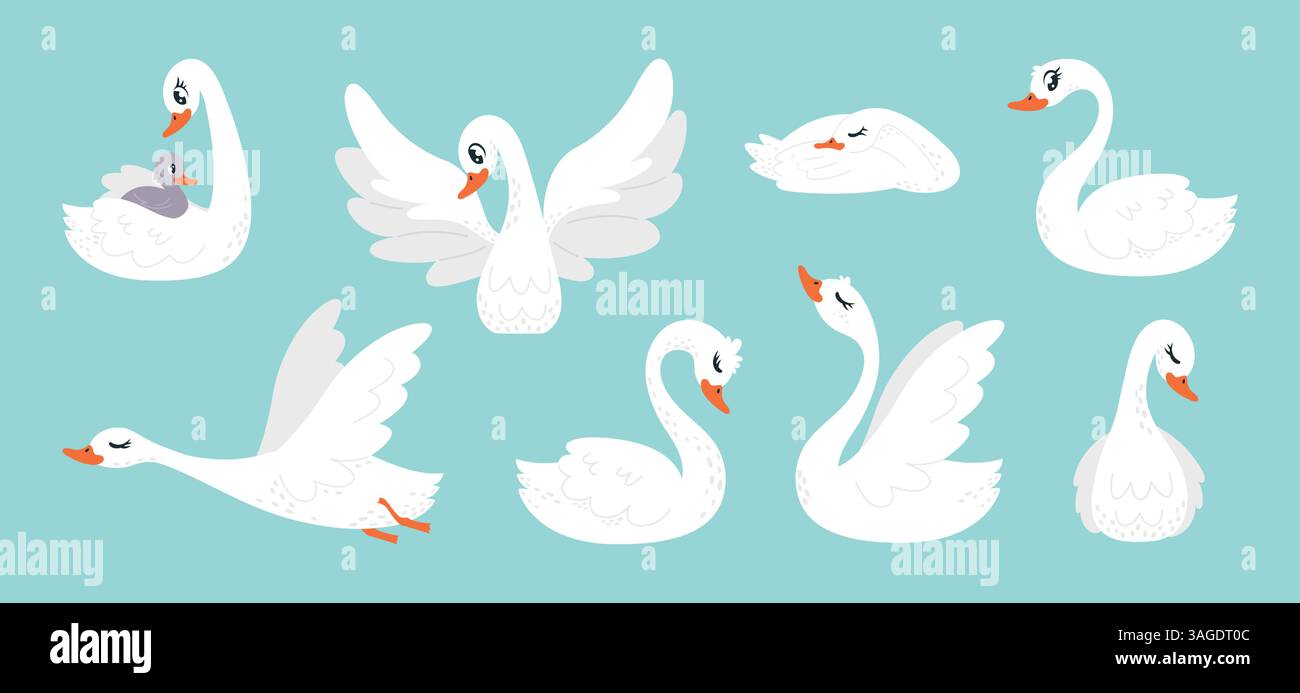 Cygnet birds wildlife Stock Vector Images - Alamy