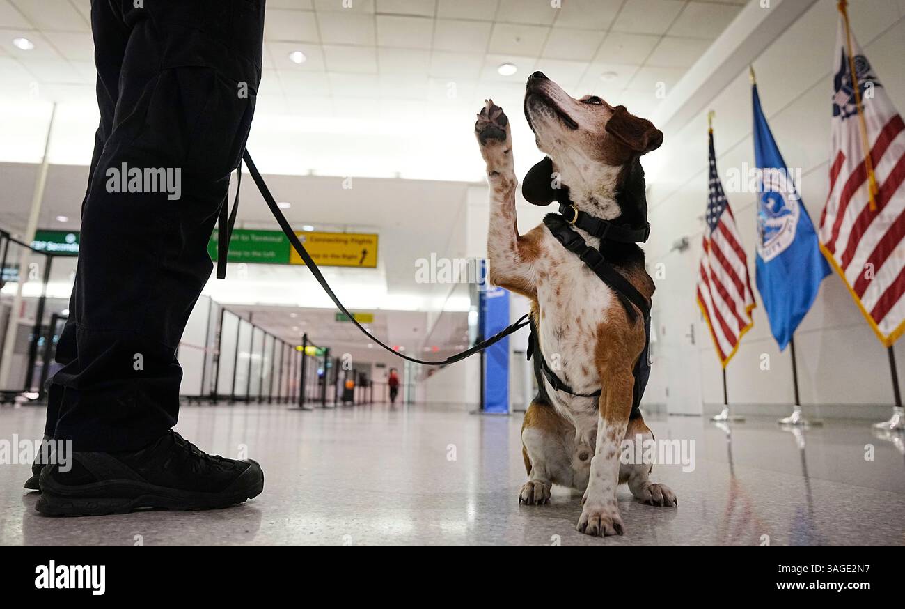 A U.S. Customs and Border Protection Office of Field Operations ...