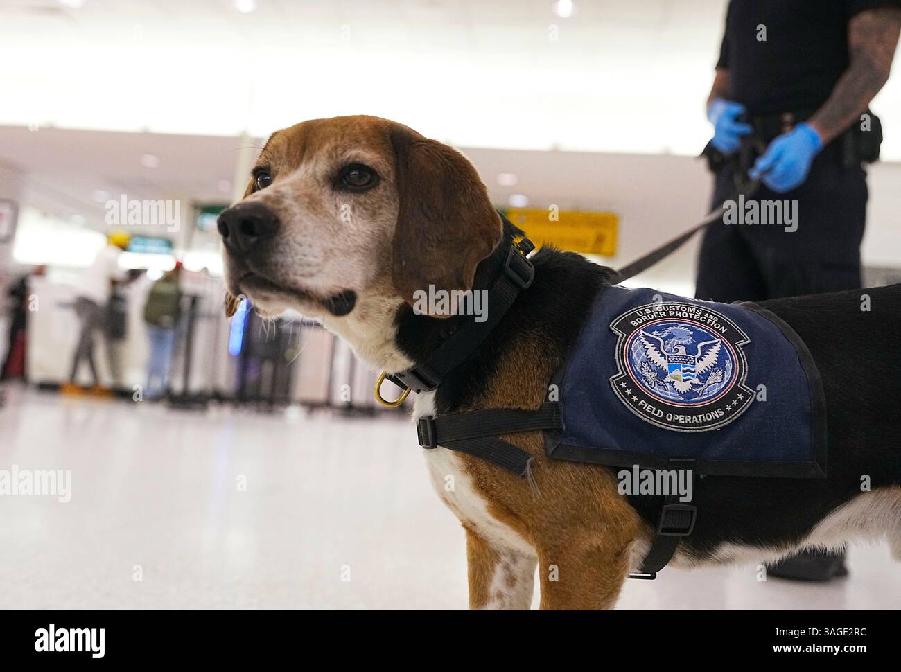 A U.S. Customs and Border Protection Office of Field Operations ...