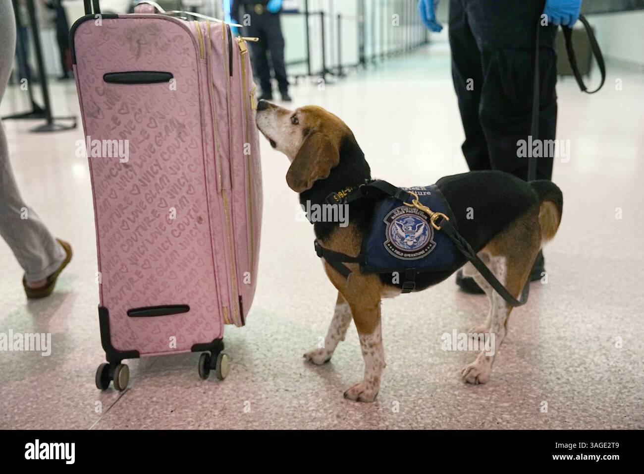 A U.S. Customs and Border Protection Office of Field Operations ...