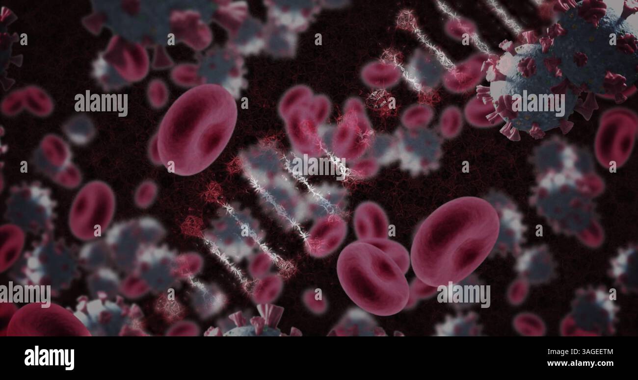 Red blood cells and virus particles interacting in microscopic view of ...