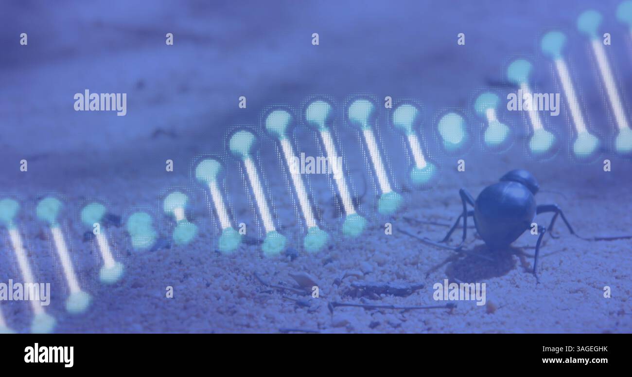 Image of 3d blue dna strand spinning over insect Stock Photo - Alamy