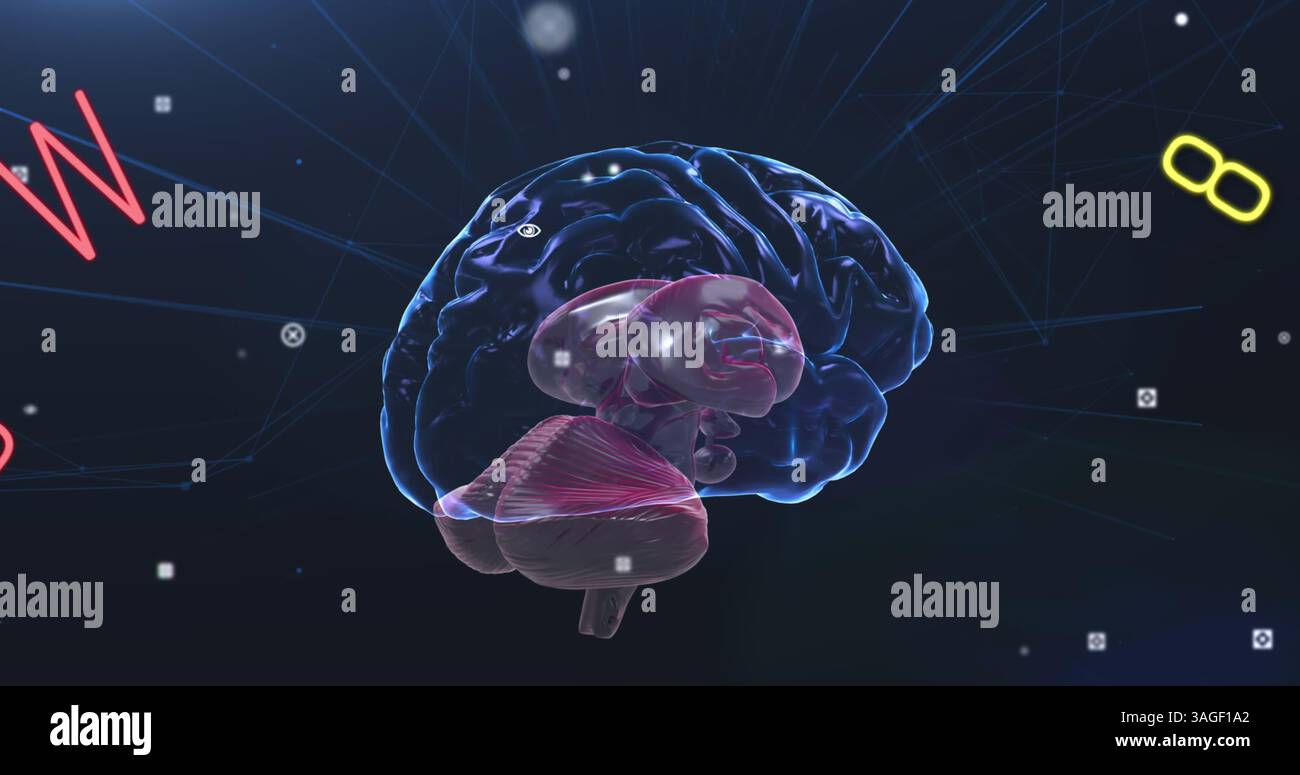 Human brain spinning against multiple changing numbers and alphabets ...