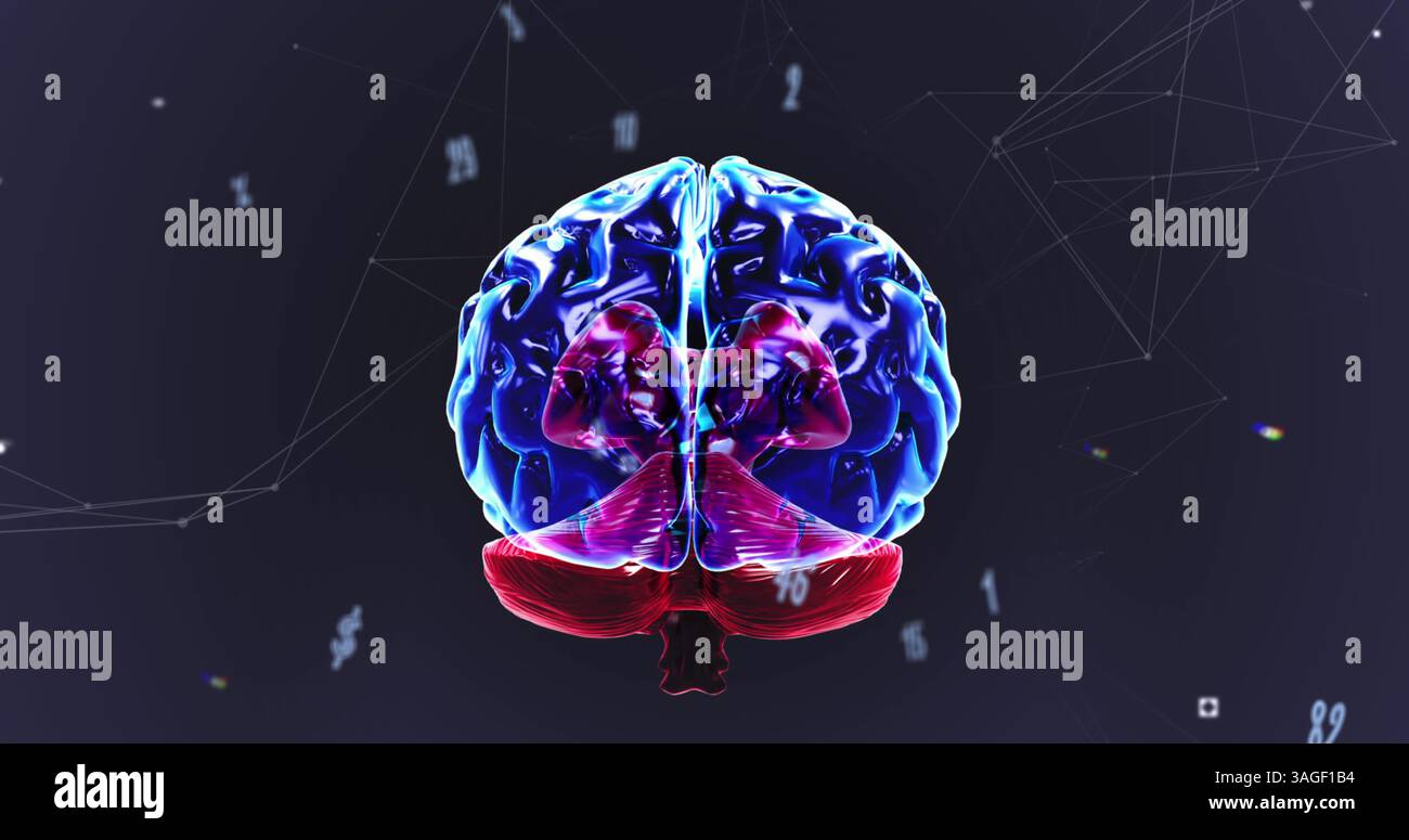 Multiple numbers floating over spinning human brain against network of ...