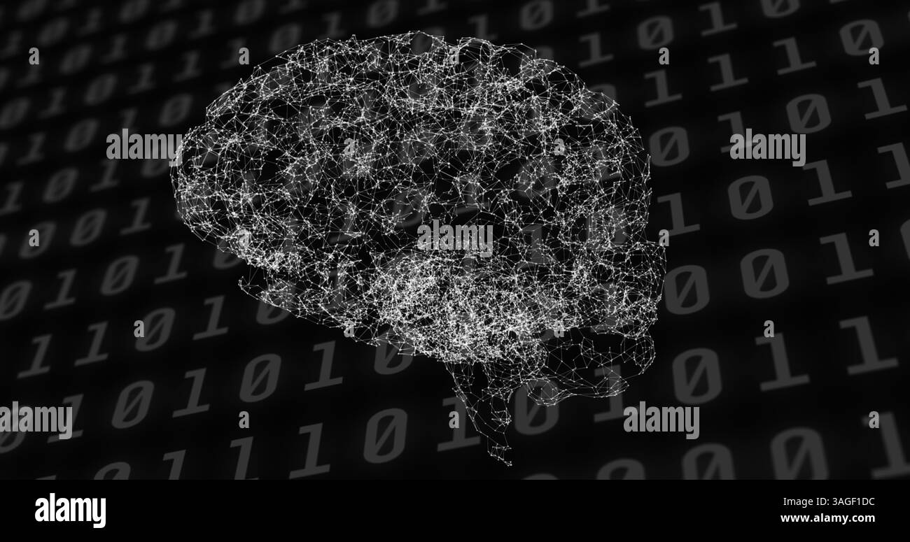 Spinning Human Brain Against Binary Coding Data Processing On Black