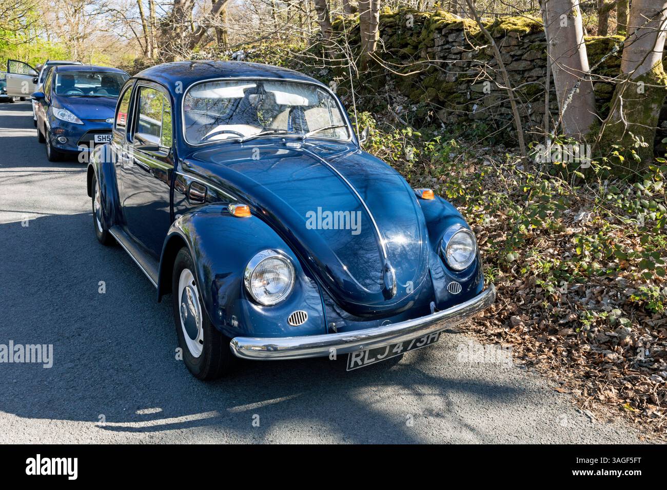 Volkswagen Beetle. Lakeland Historic Car Club Meet 2025 Stock Photo - Alamy