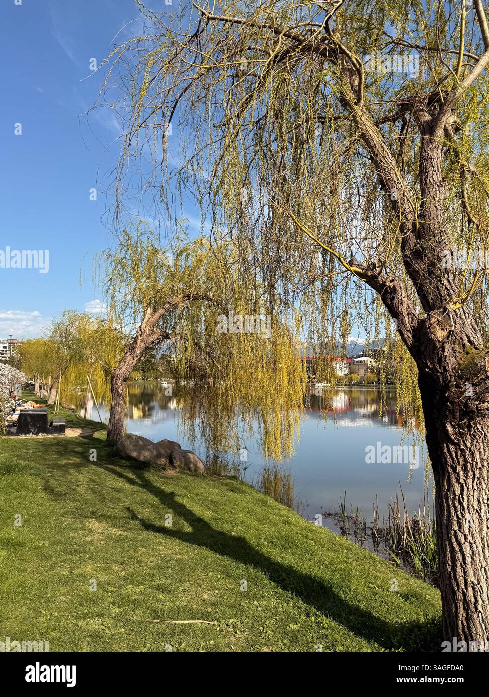 Spring lake landscape shows trees hi-res stock photography and images ...
