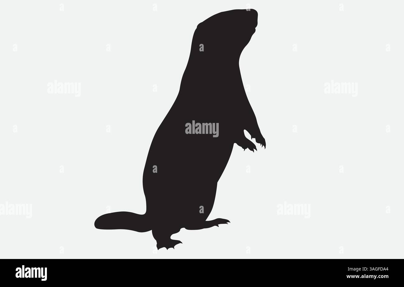 Groundhog Silhouette Vector Illustration Isolated on white background ...