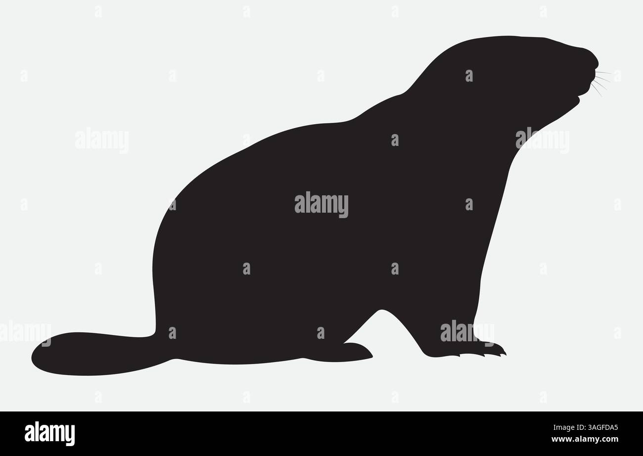 Groundhog Silhouette Vector Illustration Isolated on white background ...