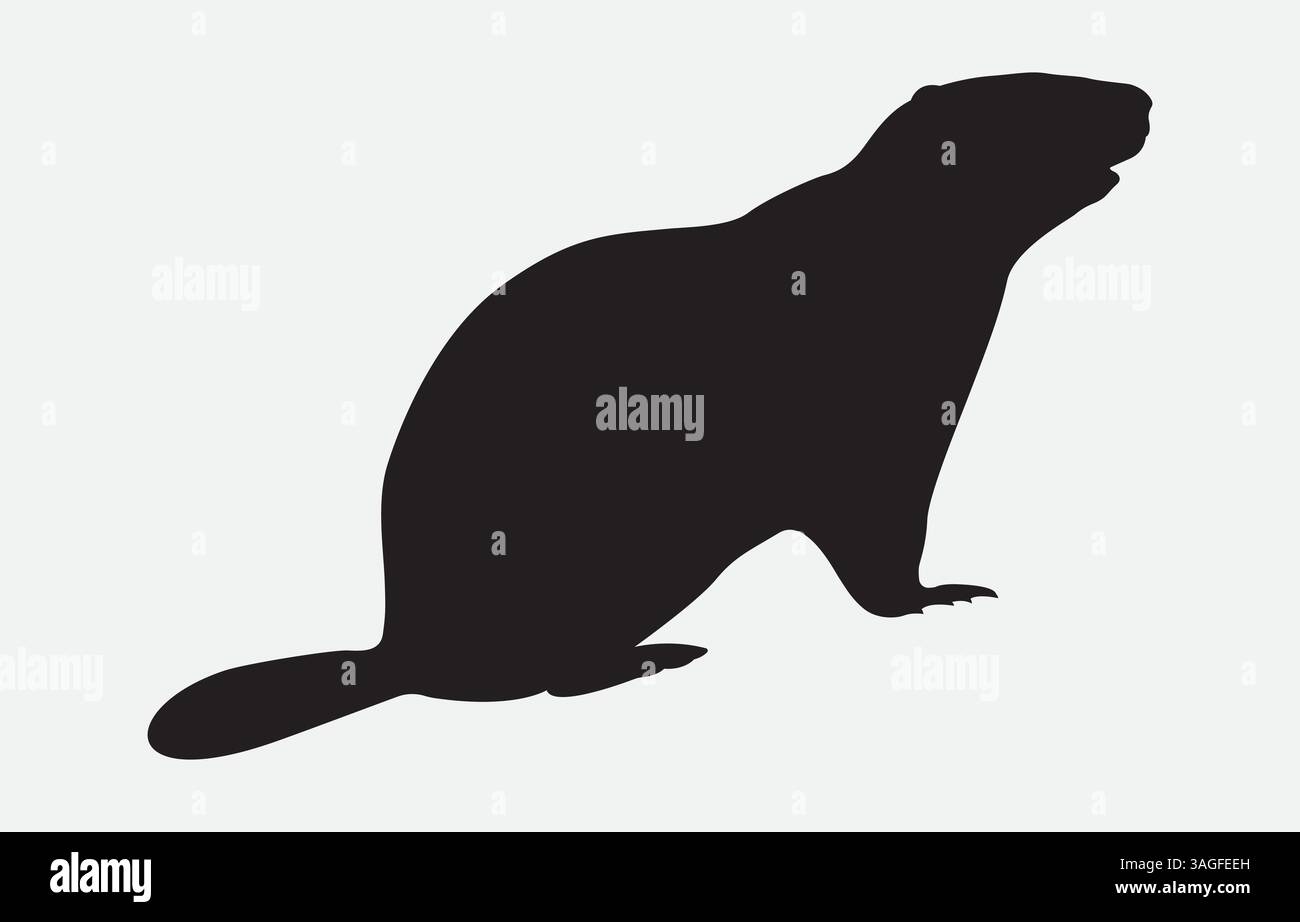Groundhog Silhouette Vector Illustration Isolated on white background ...