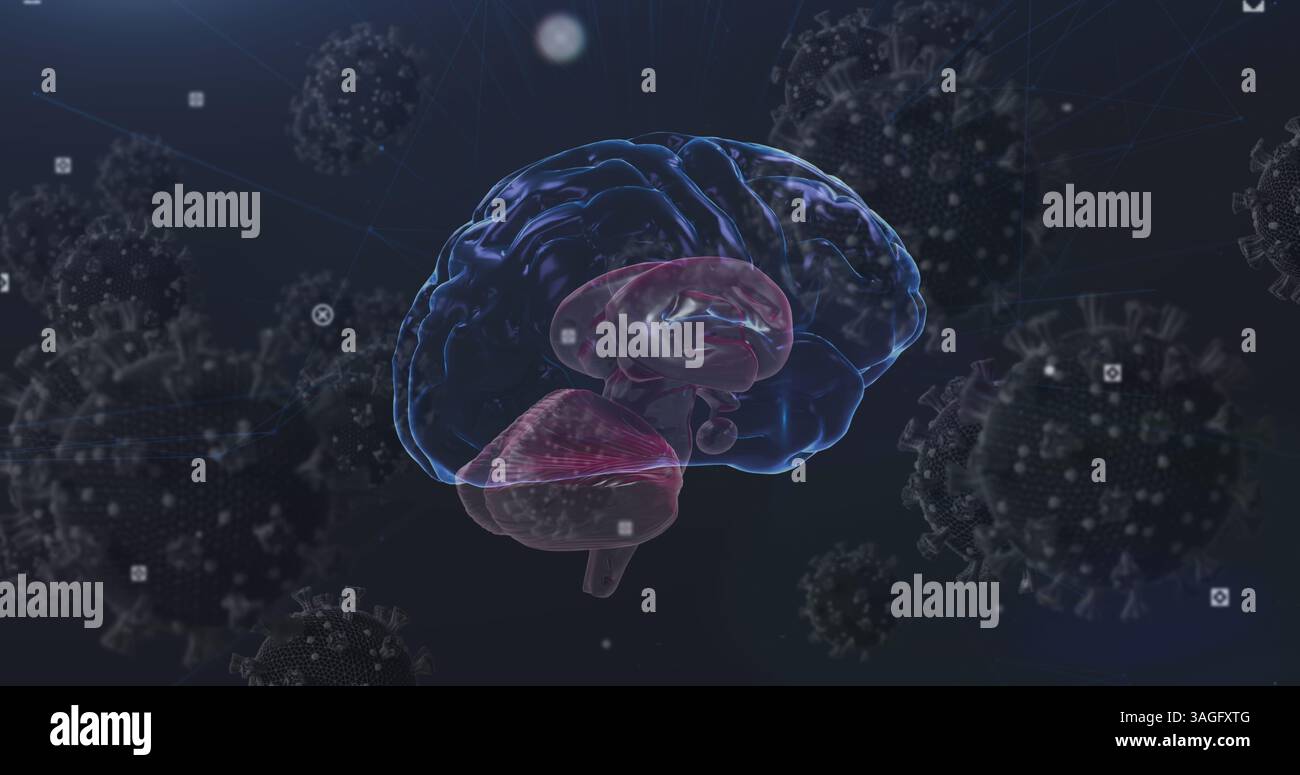 Image of covid 19 cells with human brain spinning Stock Photo - Alamy