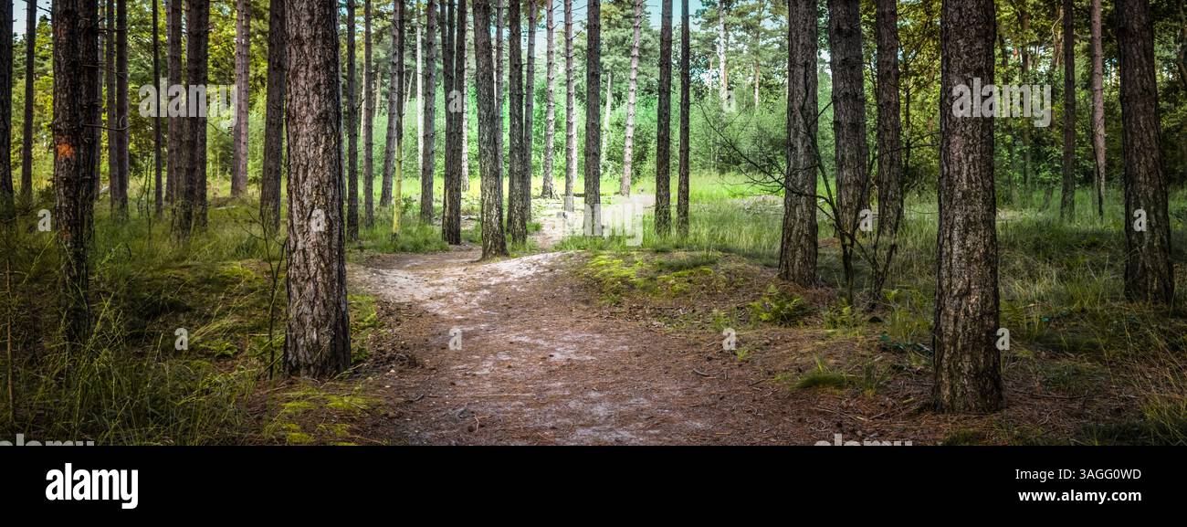 Panoramic view on path hi-res stock photography and images - Alamy