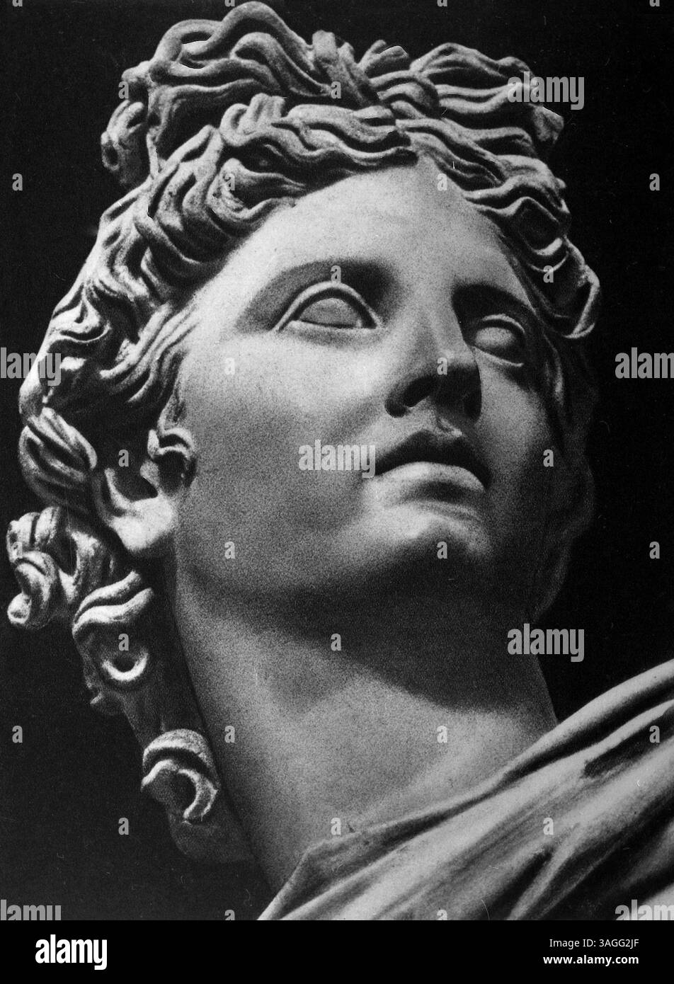 Head of Apollo Belvedere, Roman Hellenistic marble sculpture Stock ...