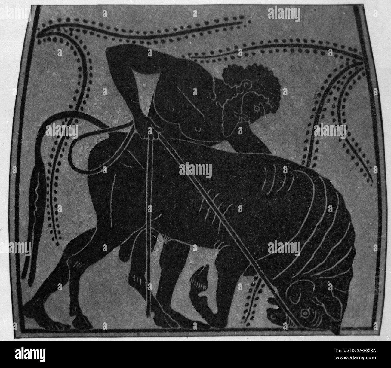 Hercules and the bull of Crete, ancient Greek paint Stock Photo - Alamy