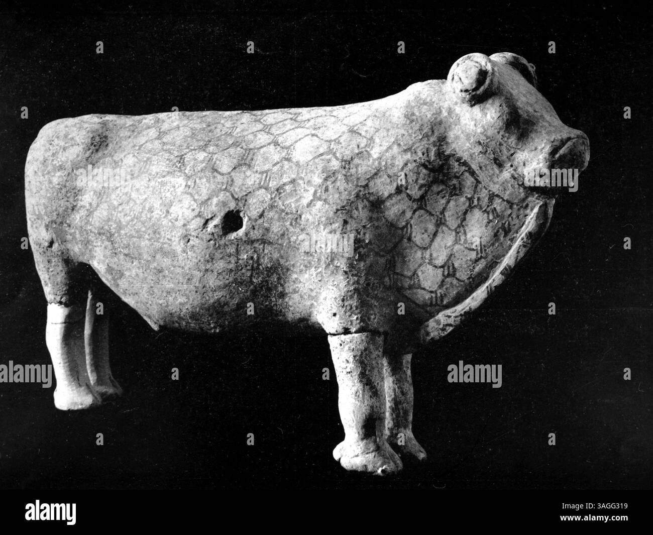 Rhyton in the shape of a bull, terracotta, ancient Greek art from ...
