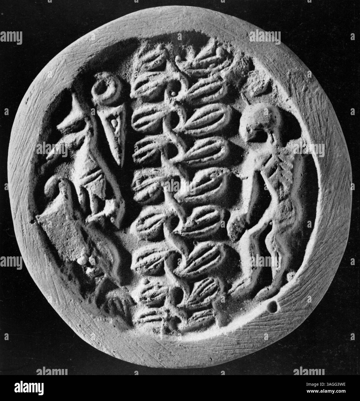 The seal of ivory Black and White Stock Photos & Images - Alamy