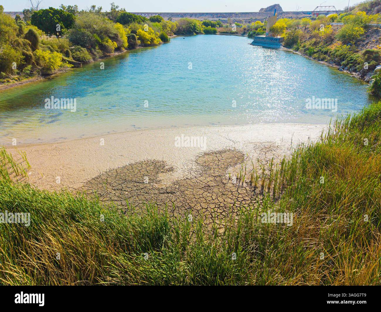 Low water level in the La Sauceda wetland due to the drought. La ...
