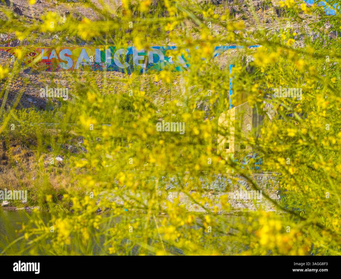 Monumental Letters of La Sauceda Urban Forest in Hermosillo, Mexico ...