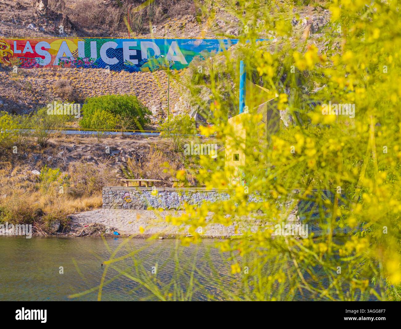 Monumental Letters of La Sauceda Urban Forest in Hermosillo, Mexico ...