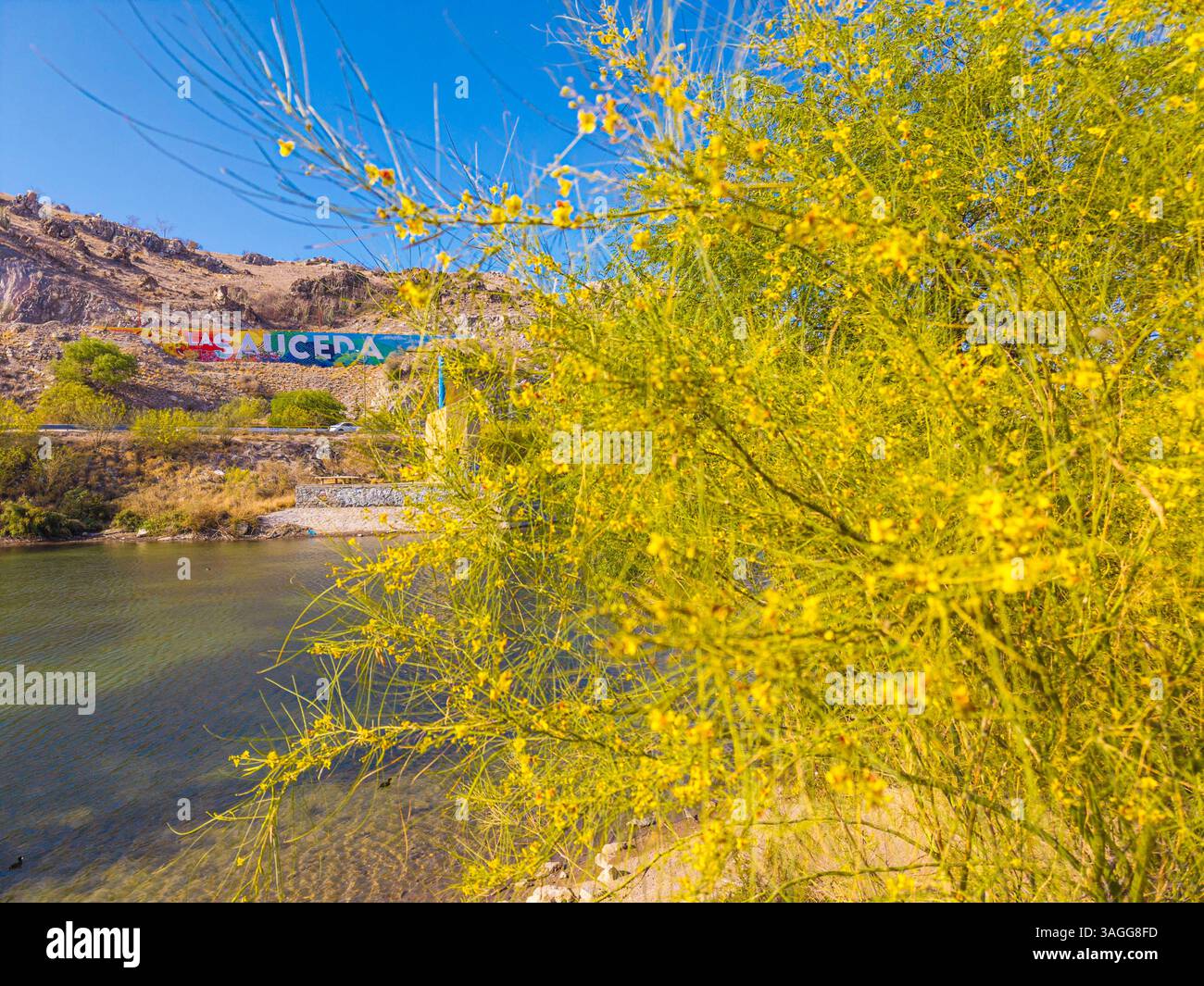 Monumental Letters of La Sauceda Urban Forest in Hermosillo, Mexico ...