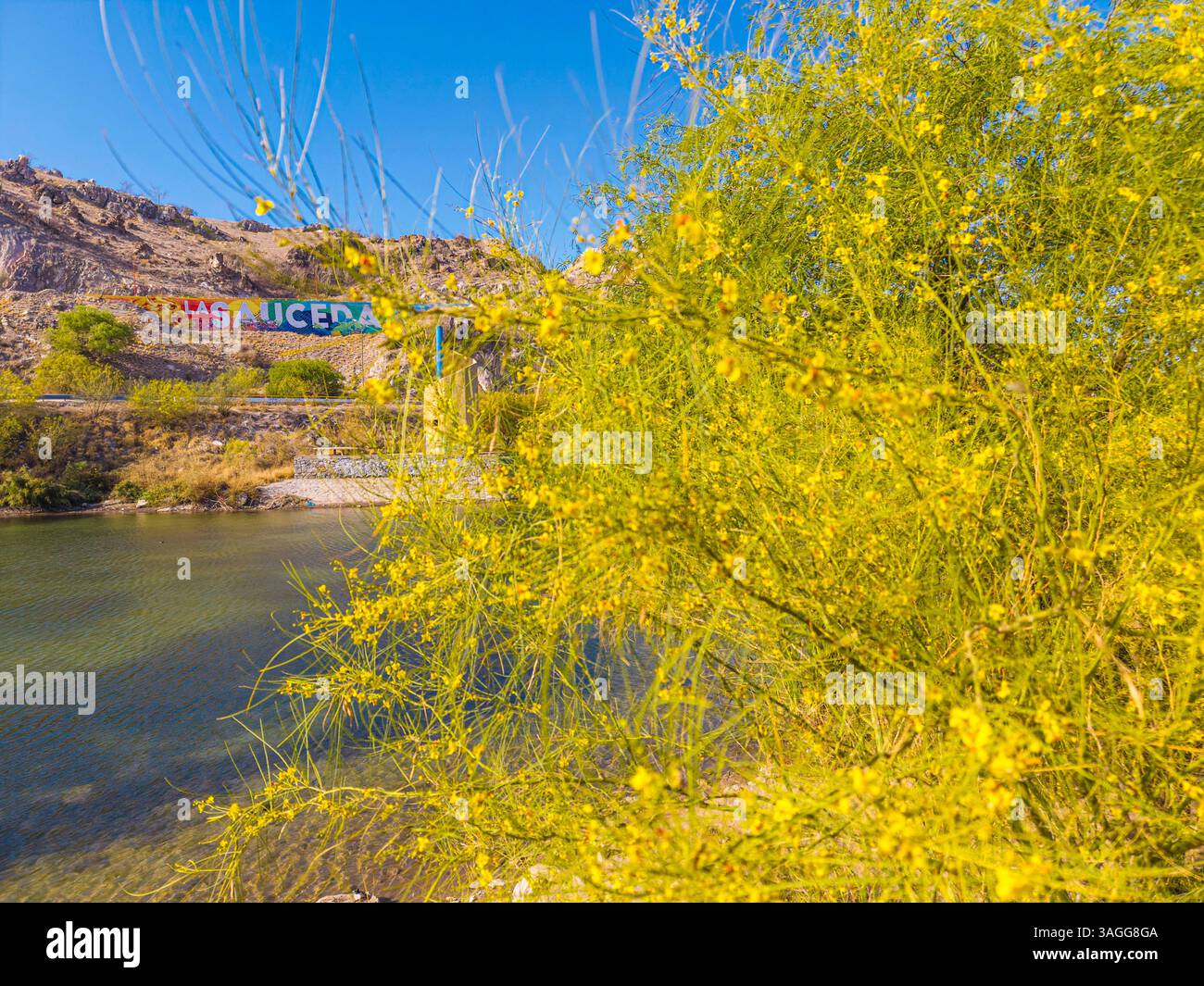 Monumental Letters of La Sauceda Urban Forest in Hermosillo, Mexico ...