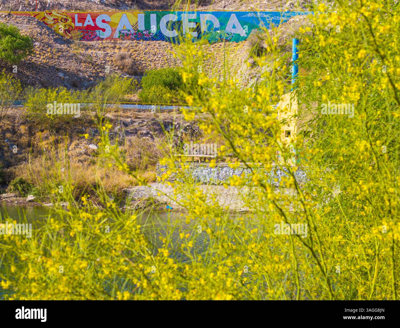 Monumental Letters of La Sauceda Urban Forest in Hermosillo, Mexico ...