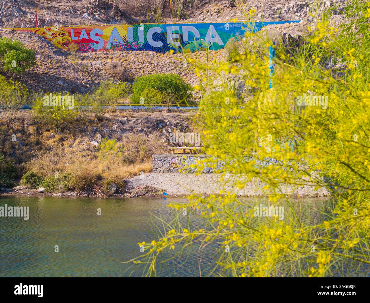 Monumental Letters of La Sauceda Urban Forest in Hermosillo, Mexico ...