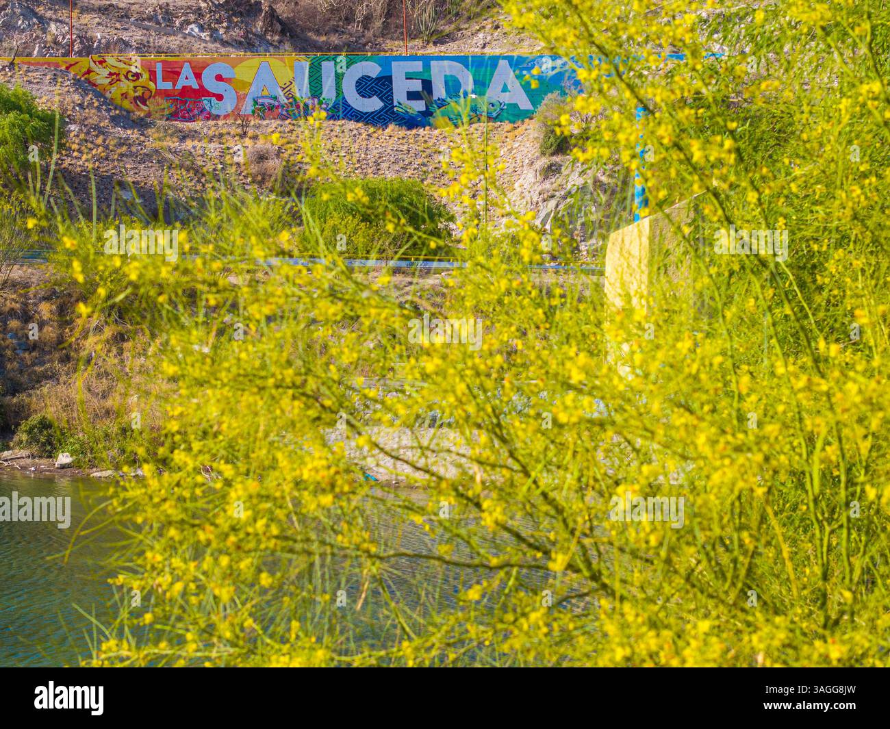 Monumental Letters of La Sauceda Urban Forest in Hermosillo, Mexico ...