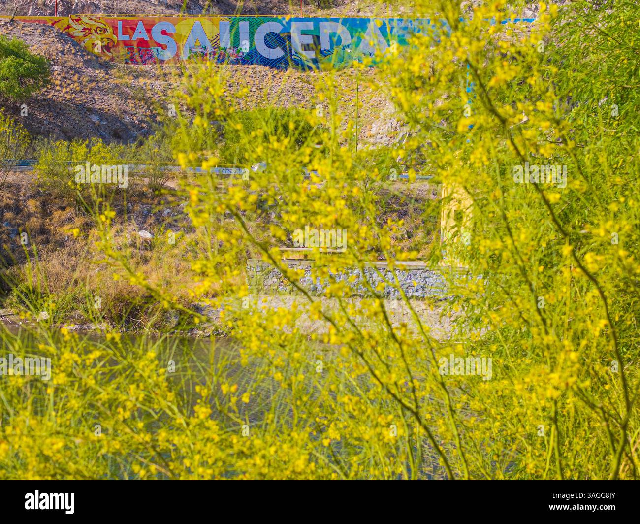 Monumental Letters of La Sauceda Urban Forest in Hermosillo, Mexico ...