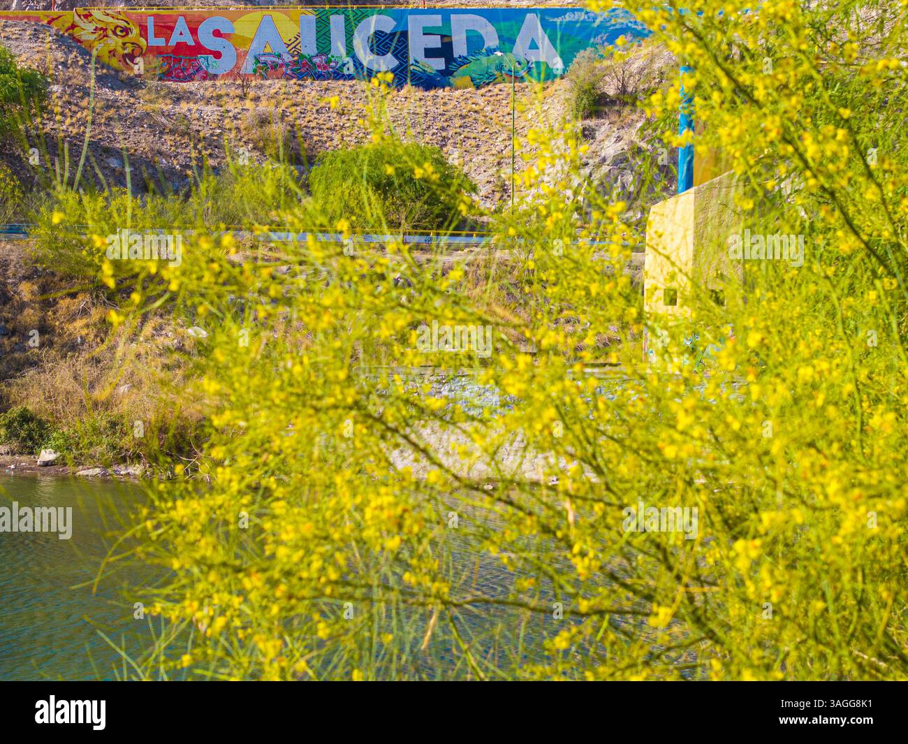 Monumental Letters of La Sauceda Urban Forest in Hermosillo, Mexico ...