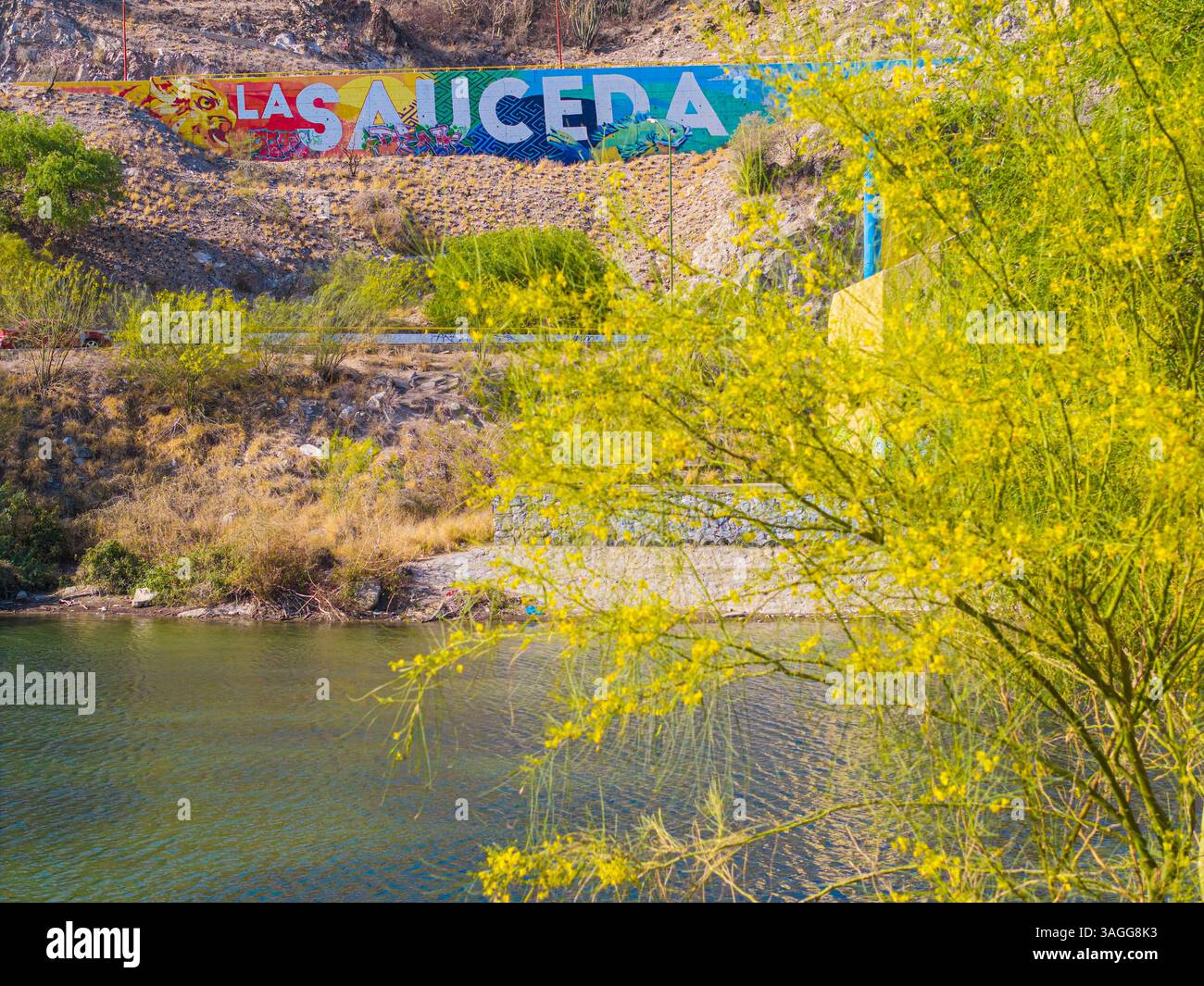 Monumental Letters of La Sauceda Urban Forest in Hermosillo, Mexico ...