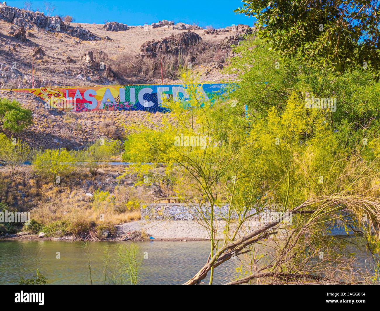 Monumental Letters of La Sauceda Urban Forest in Hermosillo, Mexico ...