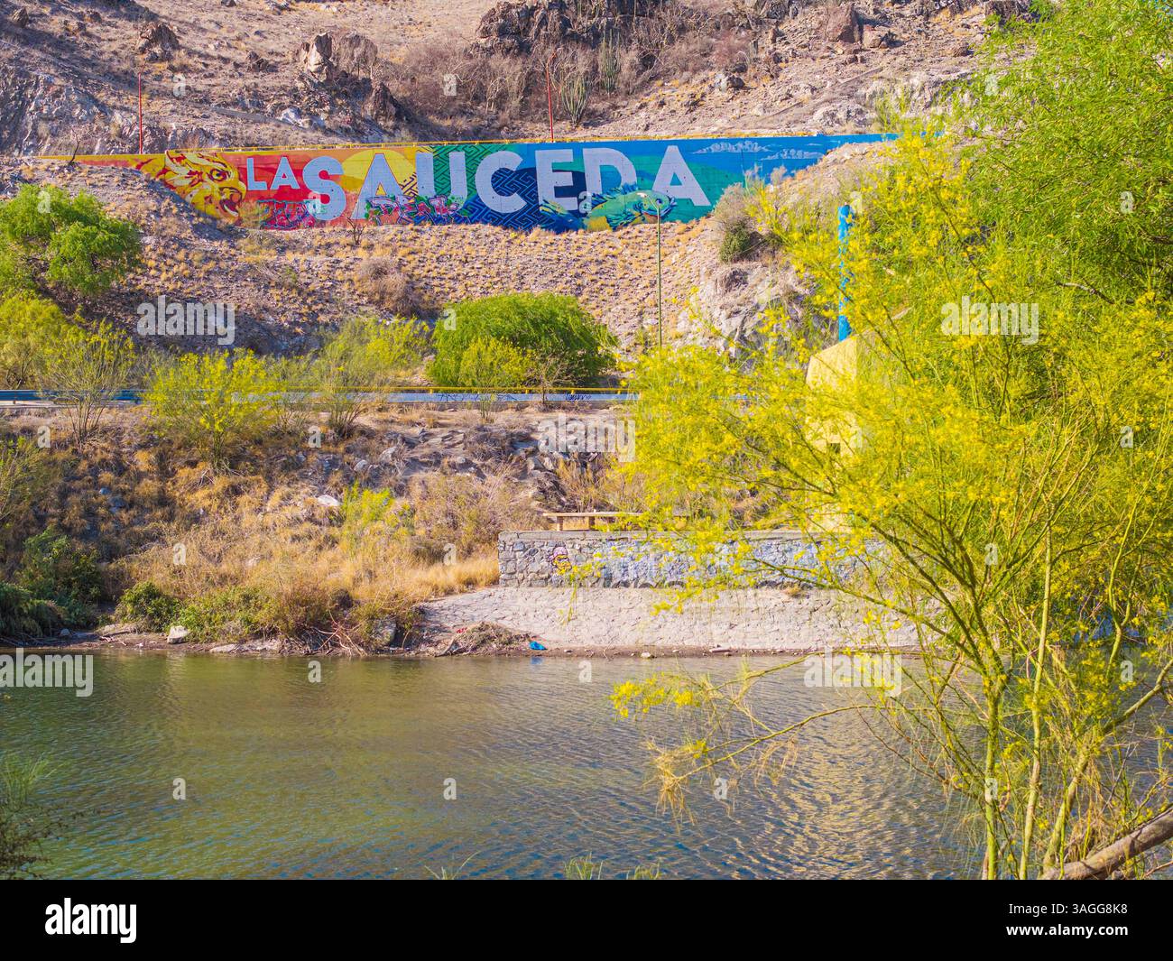 Monumental Letters of La Sauceda Urban Forest in Hermosillo, Mexico ...