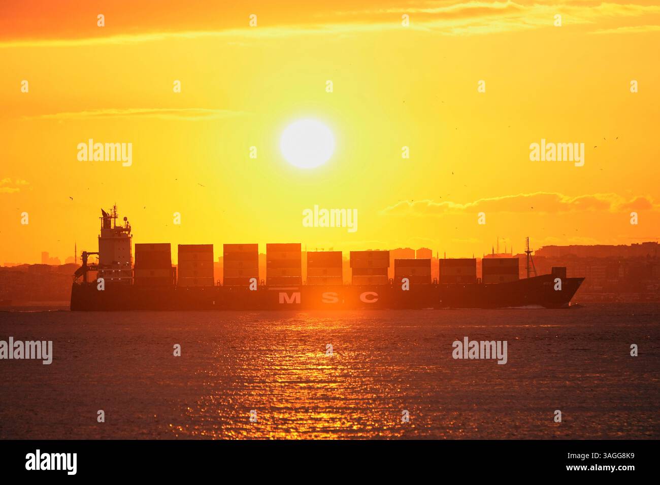 Containers ship MSC Agna II sails across the Bosphorus strait, on its ...