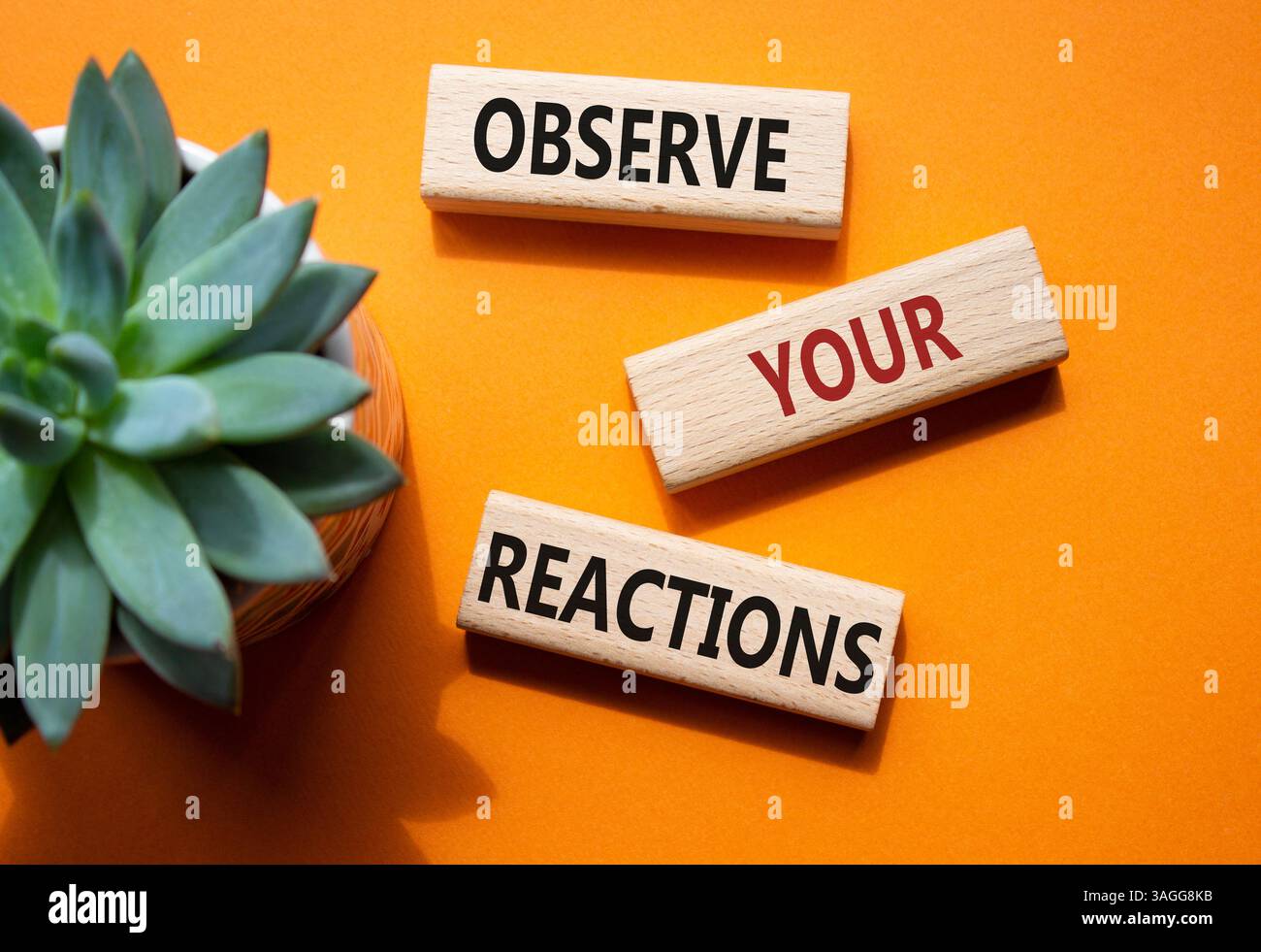 Observe your Reactions symbol. Concept word Lets do this on wooden ...