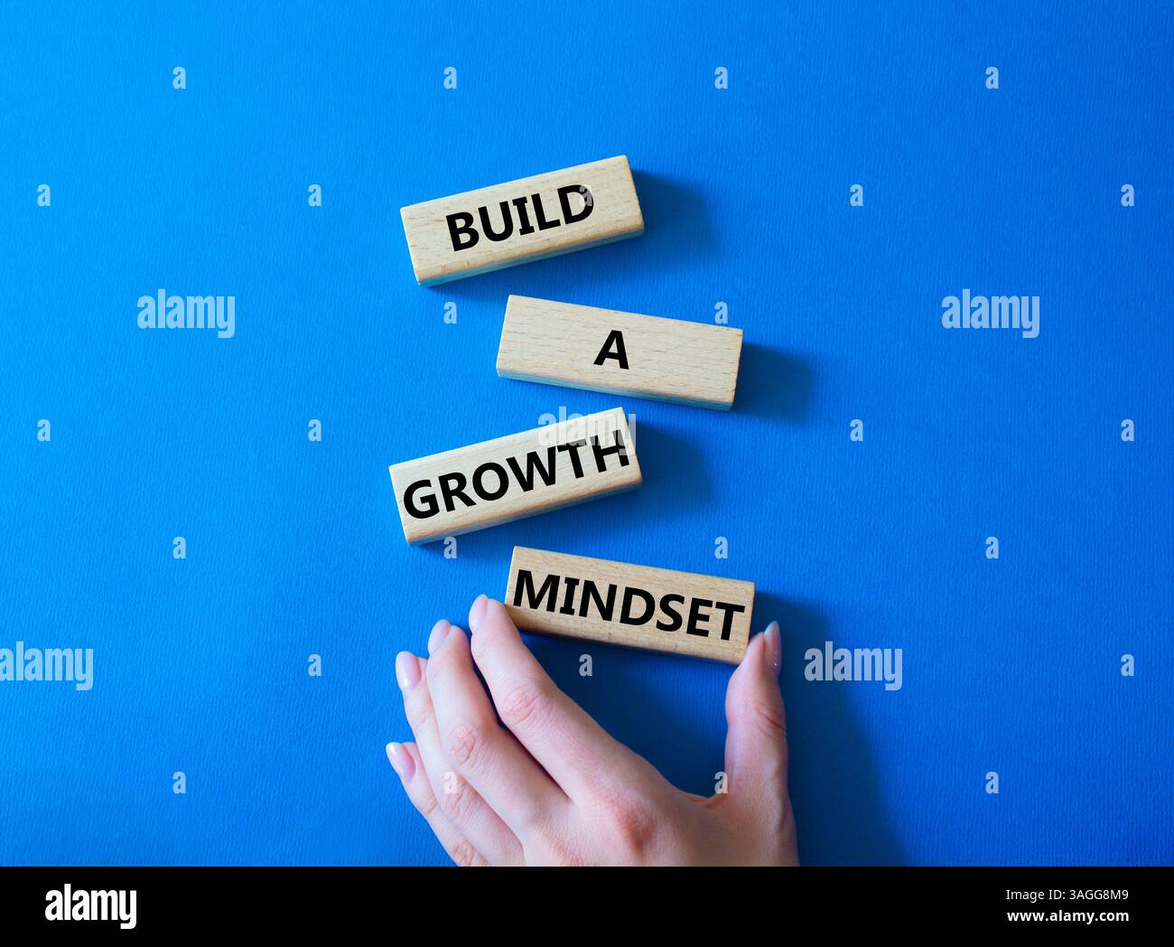Build a growth mindset symbol. Concept words Build a growth mindset on ...